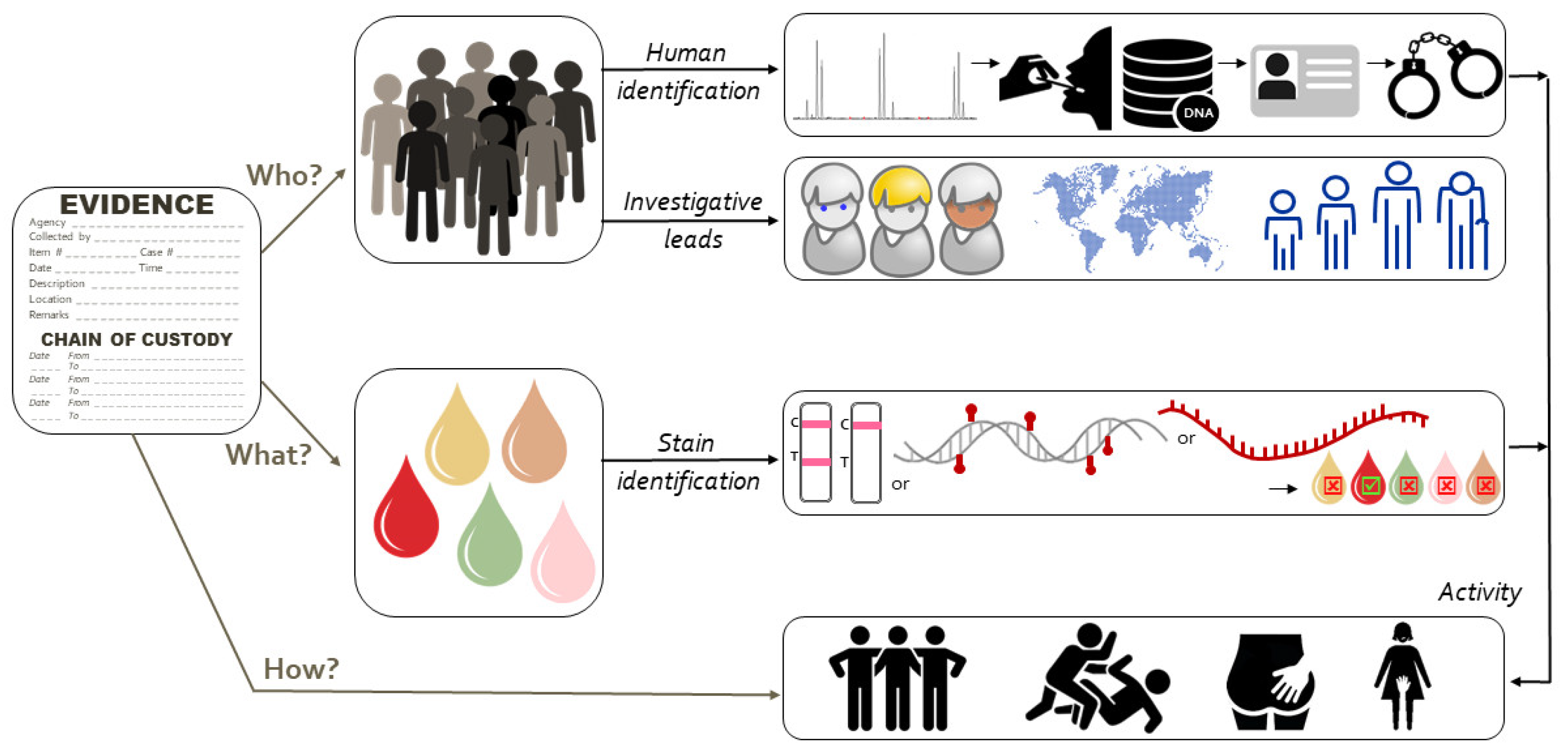 Forensic Physiology: The Science of Solving Crimes with Biology - Bloomsies