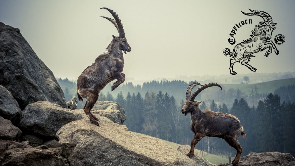 Capricorn Decans: Exploring the Traits and Characteristics of Each ...