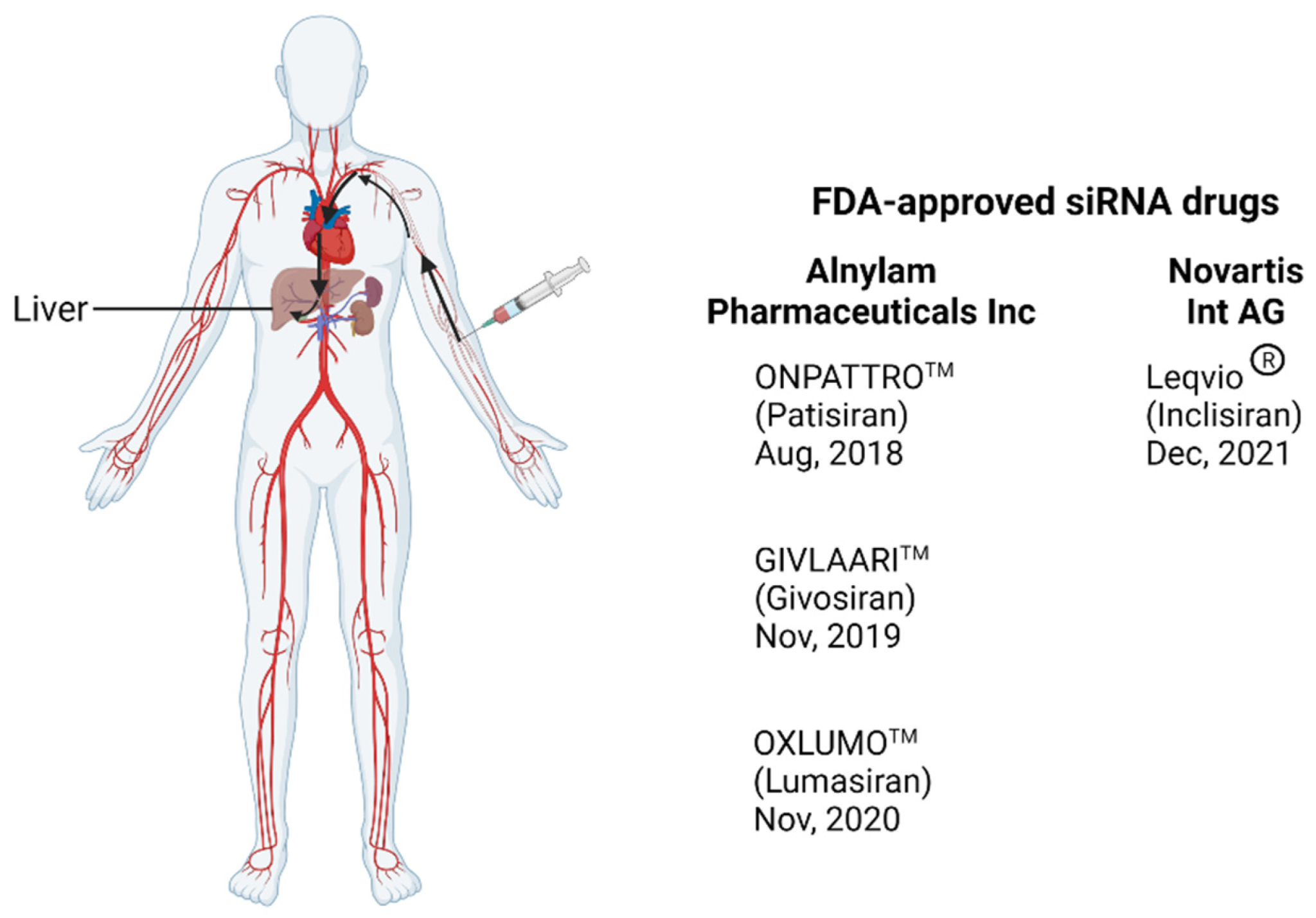 Leqvio Side Effects: An In-depth Look at Potential Risks and ...