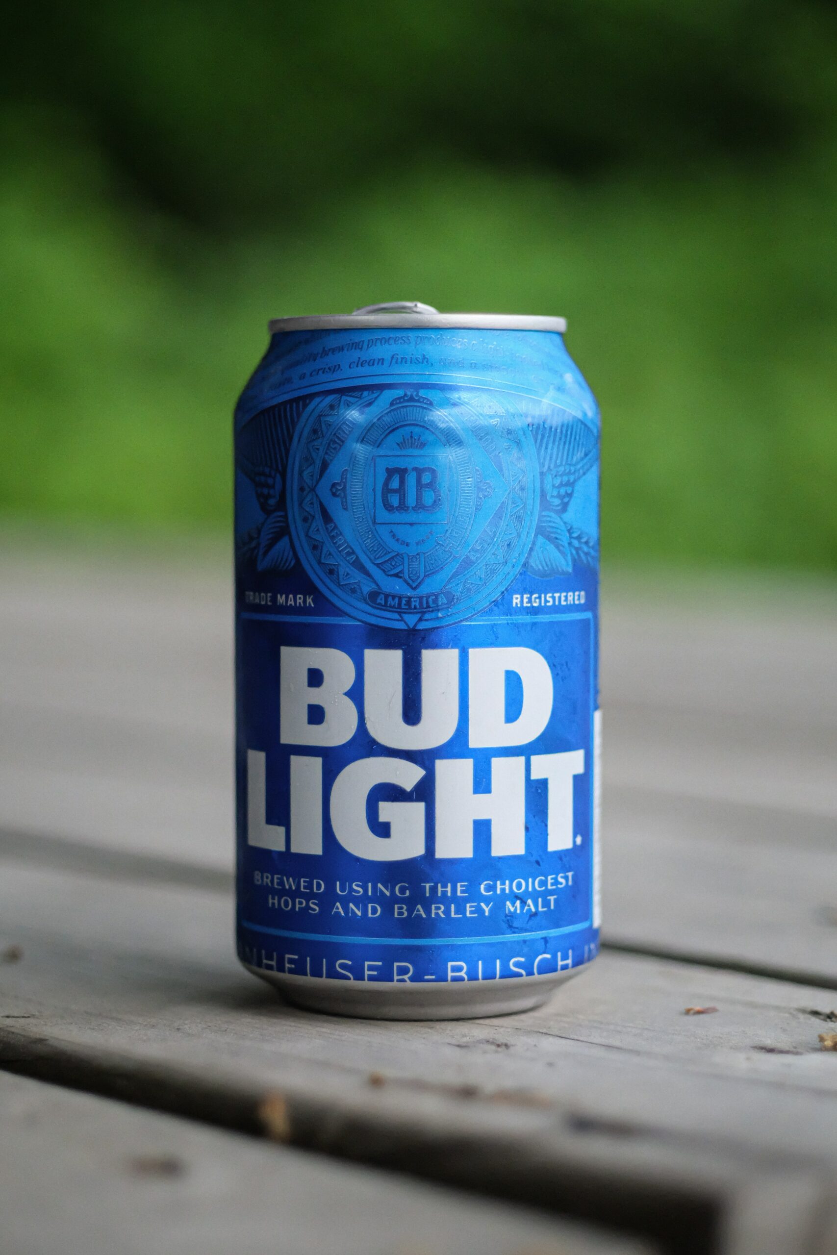 Bud Light Dylan Mulaney: The Journey of the Popular Beer Brand's Iconic ...