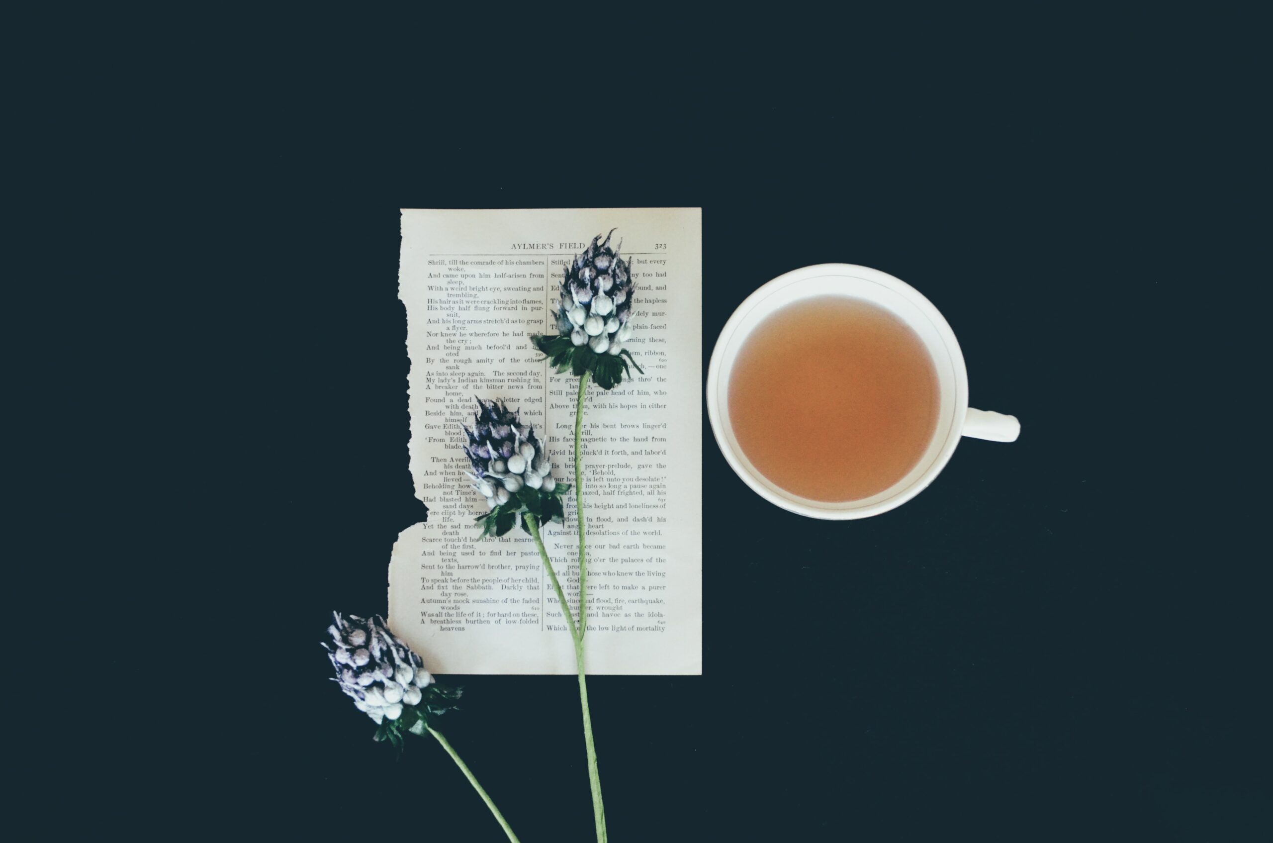 How to Make Pennyroyal Tea: A Step-by-Step Guide - Bloomsies